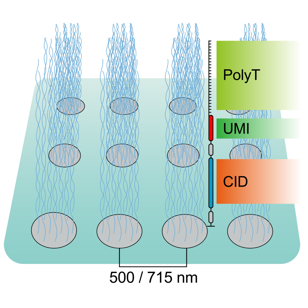 History of Spatial Transcriptomics Part 3 - Single Cell - Mirxes History of Spatial Transcriptomics Part 3 - Single Cell - Mirxes